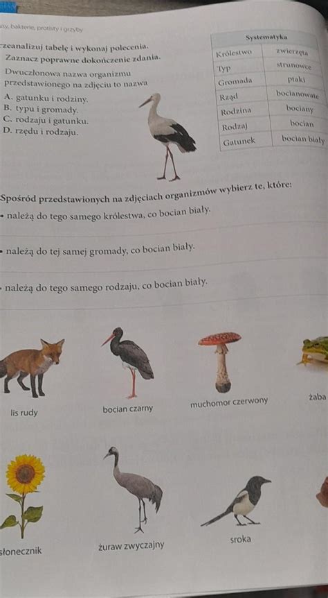 IIL Wirusy bakterie protisty i grzyby 3 Przeanalizuj tabelę i wykonaj