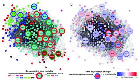 Co Expression Network Of Transcription Regulatory Genes Involved In