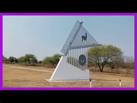 CIERVO PETISO Pueblito De Tierra Fertil En Chaco Argentina YouTube