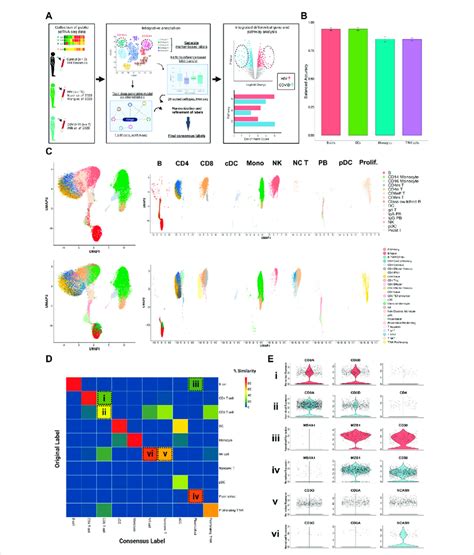 consensus clustering method to annotate single cell transcriptomic data download scientific