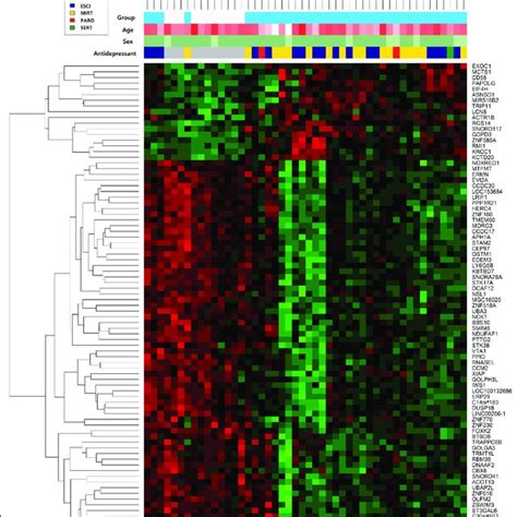 Hierarchical Clustering Of 88 Genes That Were Differentially Expressed