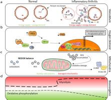 Free Radical Biology And Medicine X Mol