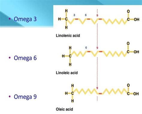 Chapter 8 Lipids And Membranes Flashcards Quizlet