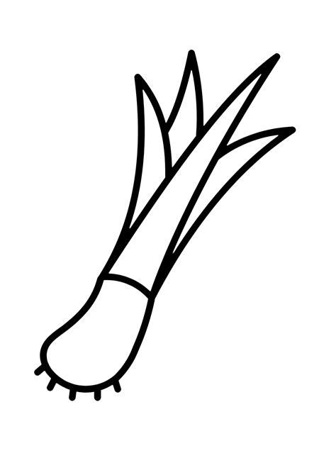 Poireau Leek Prei Lauch Coloriage Coloring Kleurplaat Para Colorear