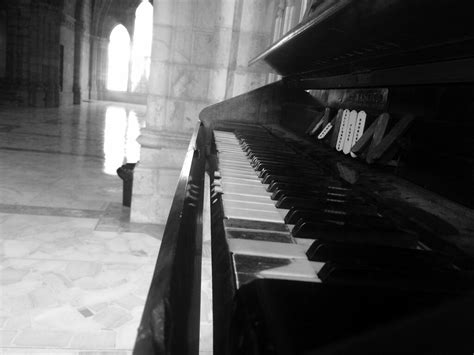 Untitled David Samaniego Flickr
