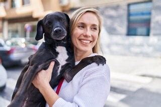 10 Coisas Que Todo Dono De Cachorro Deve Saber