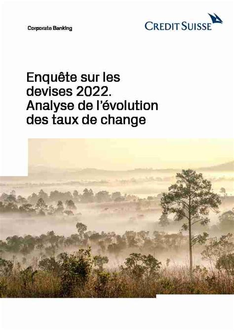 PDF Enquête sur les devises 2022 Analyse de lévolution des taux de PDF