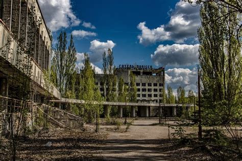 Cosa è successo ai cani di Chernobyl