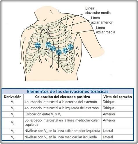 Colocación de electrodos Anatomia del torax Electrodo Enfermeria basica
