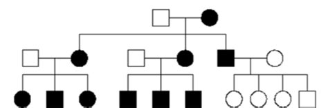 Genetics Midterm 1 BIS 101 Flashcards Quizlet