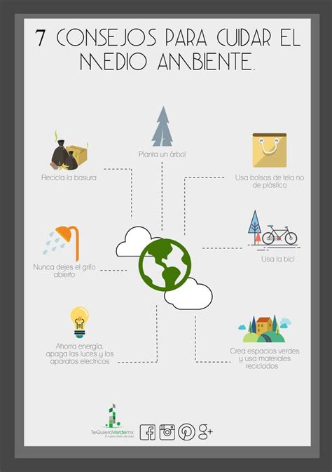10 Reglas Para Cuidar El Medio Ambiente