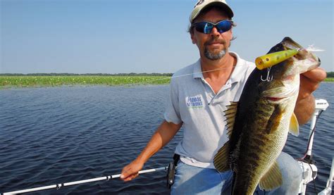 Pro Tips On Fishing Topwater Baits For Bass Game Fish