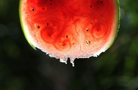 Los 7 Mejores Alimentos Para Aumentar La Libido Y Potenciar La Vida