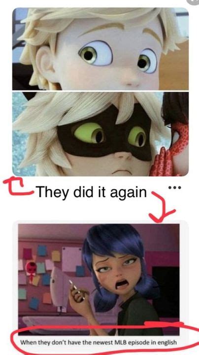 Miraculous Meme Fandom