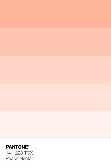 Peach Pallete Peach Color Palettes Coral Colour Palette Pantone