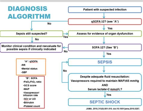 Sepsis And Septic Shock Flashcards Quizlet