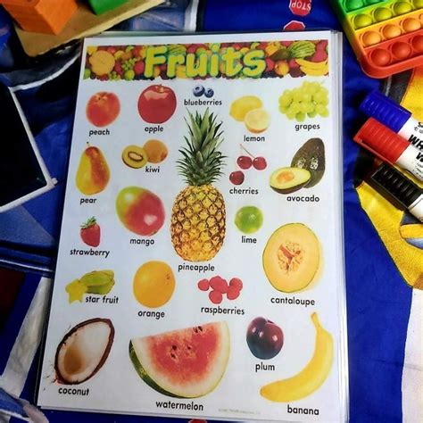 Educational Chart Fruits Chart Laminated Shopee Philippines Porn Sex