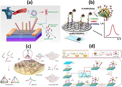 Tailored Point Of Care Biosensors For Liquid Biopsy In The Field Of