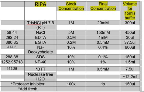 Ripa Buffer Recipe Western Blot Home Alqu