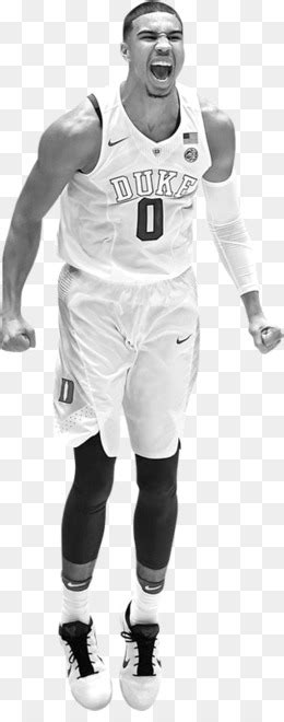 Jayson Tatum fundo png imagem png Sapato de Skate de Tênis de