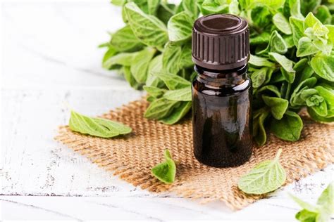 How To Extract Essential Oils From Plants For The Essentials