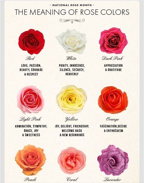 The Meaning Of Rose Colors Rose Color Meanings Flower Meanings