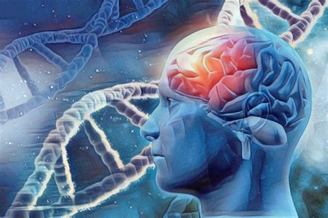QUÉ ES LA NEUROPSICOLOGÍA EL CANDELABRO