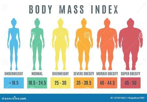 Female Body Mass Index Normal Weight Obesity And Overweight Ill Stock