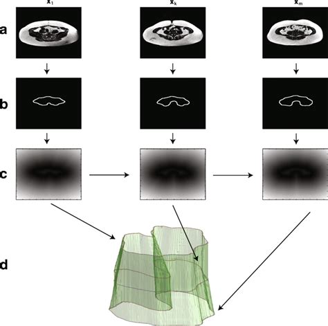 example of shape based interpolation for initial contours of vat a download scientific diagram
