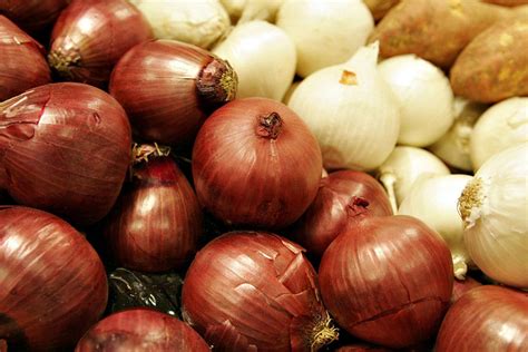 La Cebolla Sus Beneficios Y Propiedades Nutricionales