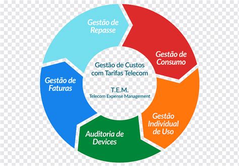 Ciclo de vida do desenvolvimento de sistemas Ciclo de vida biológico