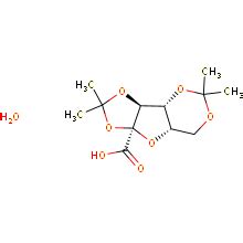 现货供应TCI 2 3 4 6 二 O 异亚丙基 2 酮 L 古洛糖酸一水合物 纯度97 0 T 5 0g