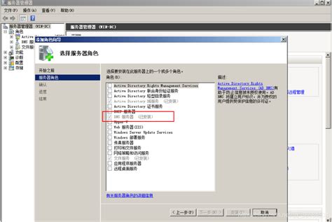 dns服务以及安装过程详解 橘子女侠的博客 csdn博客 如何安装dns服务器