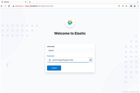 elasticsearch：如何使用自定义的证书安装 elastic stack 8 x elasticsearch 生成enrollment token csdn博客