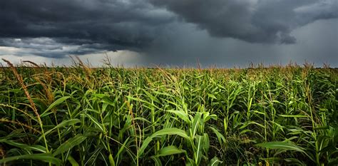 Designing For Drought Resilience Agspire