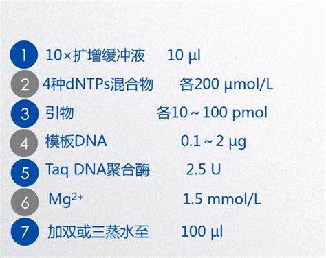 001 PCR 聚合酶链式反应 知乎