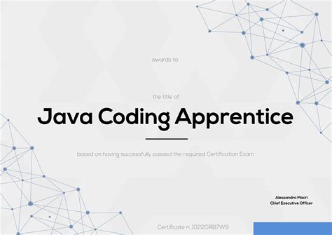 java coding apprentice knowledge pillars accredible certificates badges and blockchain