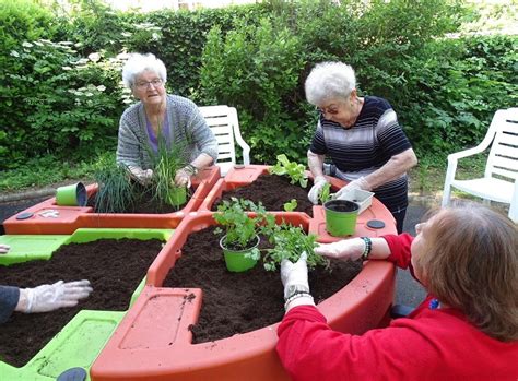 Rosheim Du jardinage thérapeutique à lEhpad