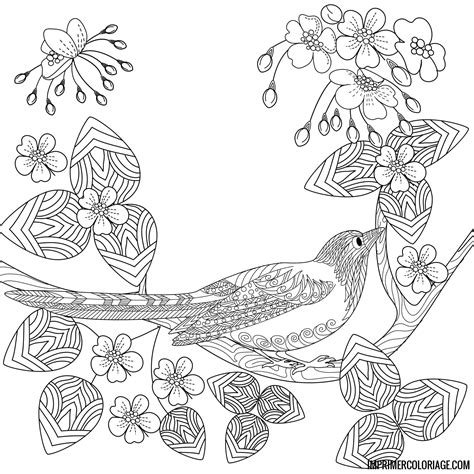 Coloriage Oiseau Mandala Imprimer Coloriage