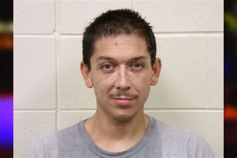 Brandon Shelby Bulloch County Jail Bookings