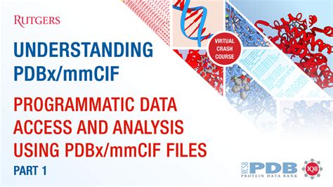 PDB 101 Use PDB Data To Their Full Extent Understanding PDBx MmCIF