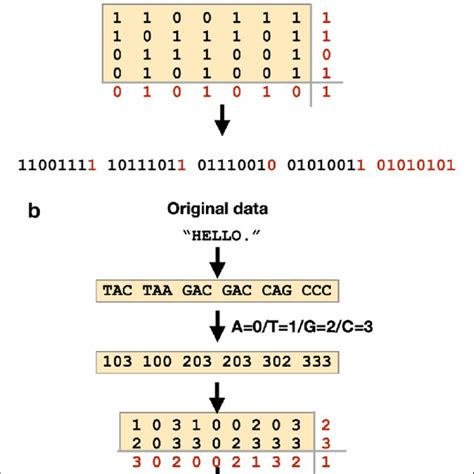 block sum check algorithm to detect errors a conventional block sum download scientific