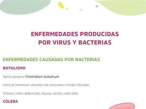 Enfermedades Producidas Por Virus Y Bacterias Salud Prevenci N Y
