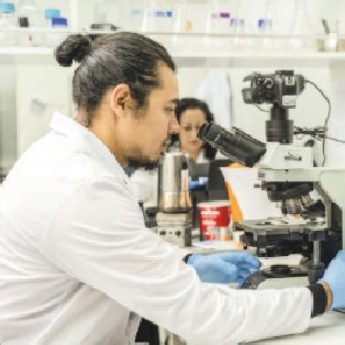 INGENIERÍA EN BIOTECNOLOGÍA