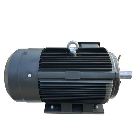 Ye3 Ye4 Ye5 CE Approved Three Phase Induction AC Asynchronous Electric