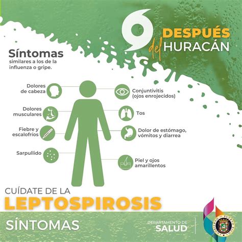 Departamento De Salud De Puerto Rico On Twitter La Leptospirosis Es