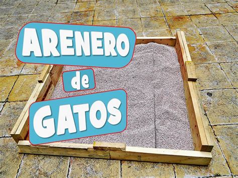 Como Hacer Un Arenero Para Gatos Sandbox For Cats Youtube
