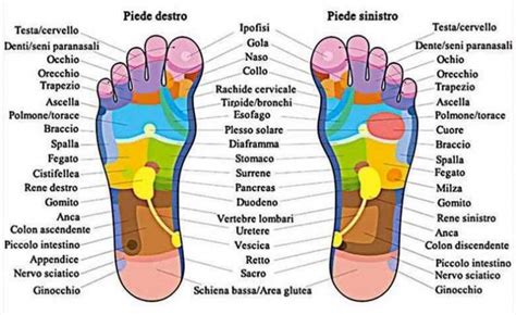 Che cosè e quali sono i benefici della riflessologia plantare
