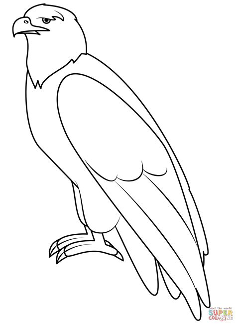 Ausmalbild Adler Ausmalbilder Kostenlos Zum Ausdrucken