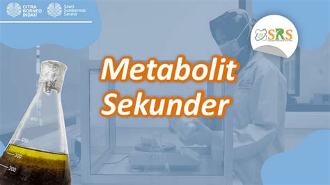 Metabolit Sekunder Youtube